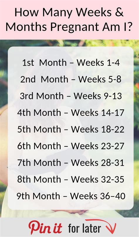Months And Weeks Of Pregnancy Nhs