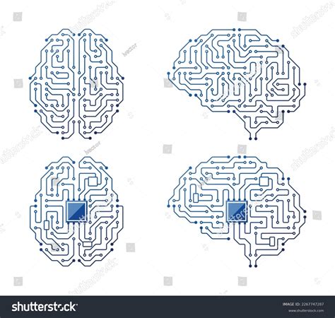 Cerebellar Electric Circuit Pathways Indicate Flow Stock Vector Royalty Free 2267747287