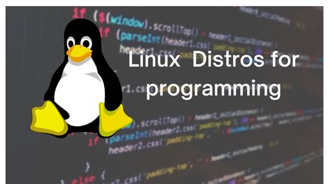 12 Best Linux Distros For Programming In 2023