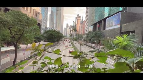 万物需要阳光生活需要方向 你有光吗 今天和香港佬预约买年货 Youtube