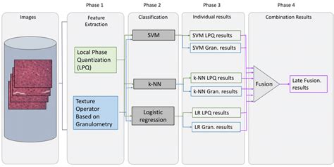 General Overview Of The Methodology Used For Classification Download Scientific Diagram