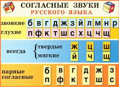 Согласные звуки русского языка твердые мягкие звонкие глухие парные