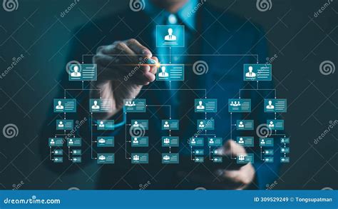 Organigram Or Mindmap Concept Scheme Of Hierarchy Stock Photo