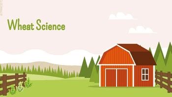 Wheat Science PPT By Cassandra S Ag Curriculum TPT