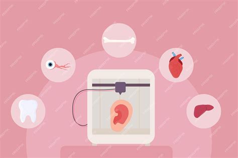 3d 인쇄 바이오 프린팅 인공 장기 보철물 합성 간 팔 귀 눈 뼈 심장 벡터 일러스트 레이 션 설정 프리미엄 벡터