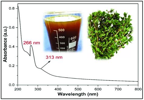 The Uv Visible Spectrum Of Leaf Extracts Of Thyme Plant Download