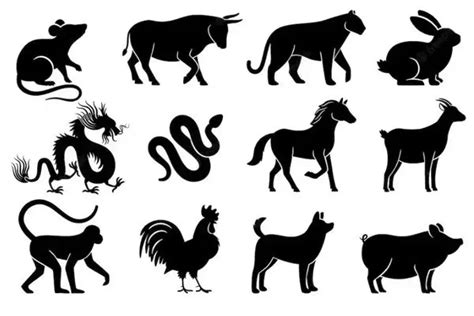 ویدیو روایت جدید از تجاوز به دختر یاسوجی و انتشار فیلم آن ماجرا