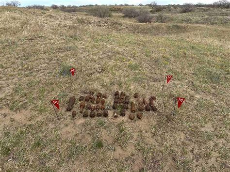 Хил МОНГОЛ ОРОСЫН ХАМТАРСАН АРХЕОЛОГИЙН ЭКСПЕДИЦИЙН МАЛТЛАГА ЭХЭЛЛЭЭ Монгол Оросын хамтарсан