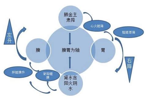 三焦 三焦络 三焦图片 大山谷图库
