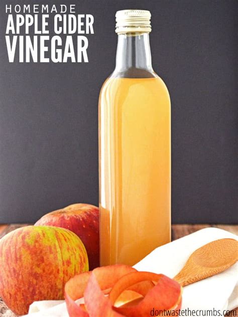 How To Make Apple Cider Vinegar Qleroadviser