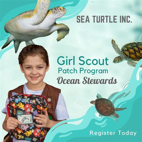 Home Sea Turtle Inc