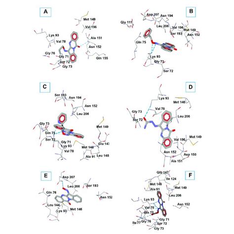 Correlation Of Docking Scores For The Best Docking Poses Of The Download Scientific Diagram