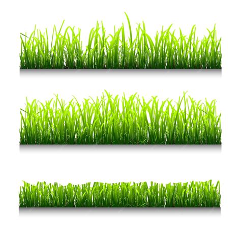 Premium Vector Grass Design Vector Set Collection Vector Illustration