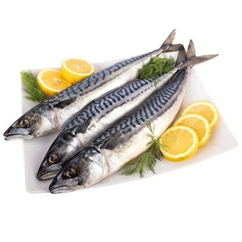 Черен списък на 8 вида риба от които е по добре да откажете заради високи нива на живак За