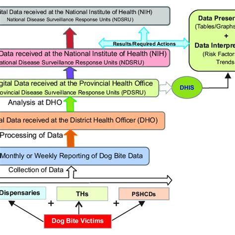The Diagram Showing The Flow Of Data Information In Dhis Download Scientific Diagram