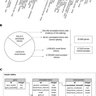 Data Statistics And SQL Schema Designed For IntroVerse A Sample Download Scientific Diagram
