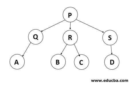 Types Of Trees In Data Structure Know 6 Types Of Trees In Data Structure