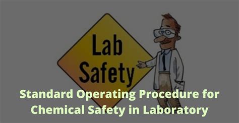 Safety Procedures On How To Store Chemicals Used In The Laboratory At Timothy Votaw Blog
