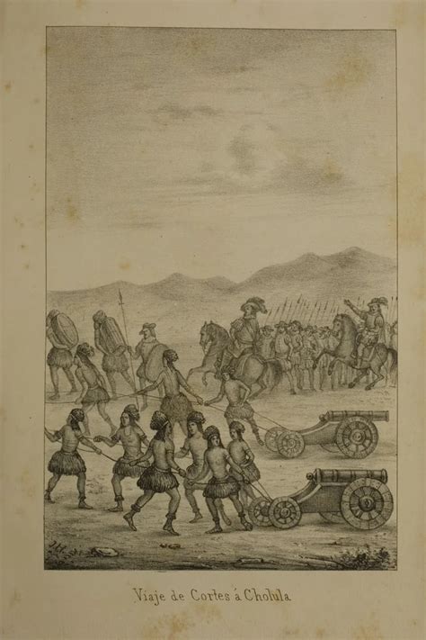 Tenochtitlan Qué Insectos Comían Los Mexicas Antes De La Llegada De Hernán Cortés Infobae