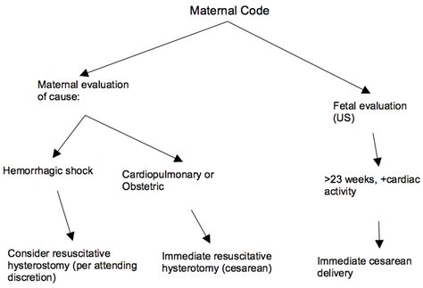 Uk Trauma Protocol Manual Management Of Maternal Code Ob Obstetric Uk Trauma Protocol Manual Management Of Maternal Code Ob Obstetric