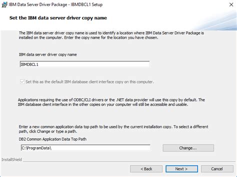 Install Db2 Odbc Driver Keenever