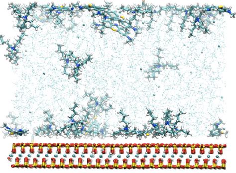 Methylene Blue On Top Of Pyrophyllite After 50 Ns Simulation