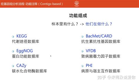 宏基因组分析流程实操理论 知乎