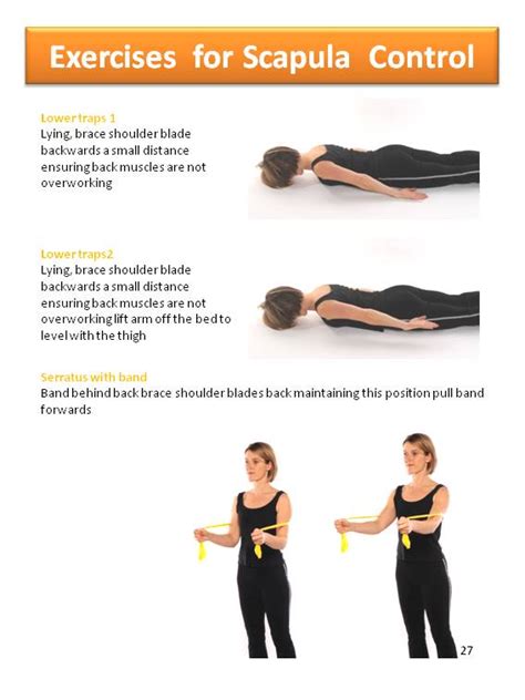 Scapular Muscles Exercises Scapular Muscles Exercises