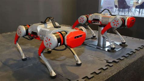 Indias First Assistive Dog Robot By Addverb Unveiled At Logimat India