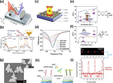 Dna Molecules Detection A Design Of Elliptical Zigzag Array While