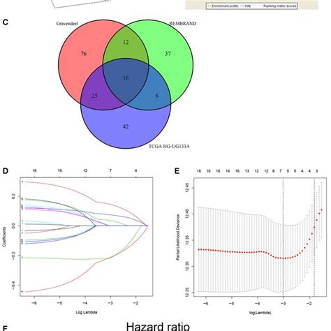 Screening Out Genes For Constructing A Risk Signature A Principal Download Scientific Diagram