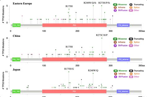 Localization Of Tp53 Mutations In Gc Samples From Eastern Europe Download Scientific Diagram