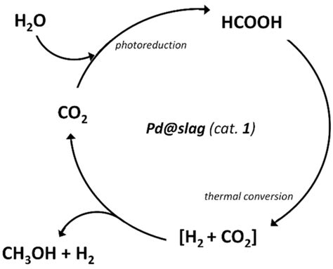 Schematic Representation Of Overall Process Download Scientific Diagram