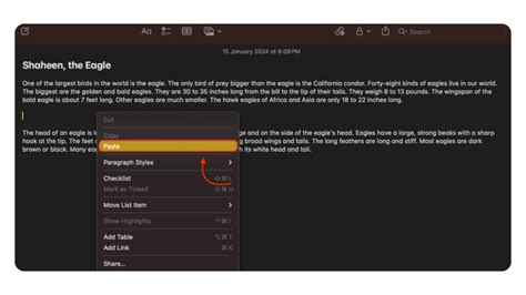 How To Copy And Paste On A Mac In Different Ways Appuals