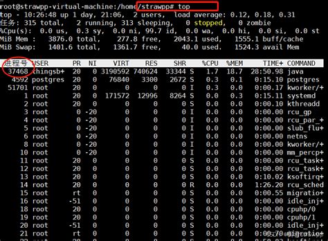 Linux Top指令查看进程线程,ps T P查看进程top查看线程 Csdn博客 Linux Top指令查看进程线程,ps T P查看进程top查看线程 Csdn博客