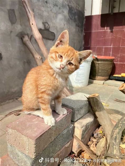 情侣关系除了sex生活和谐吸引力强以外，其他没啥意思？ 知乎