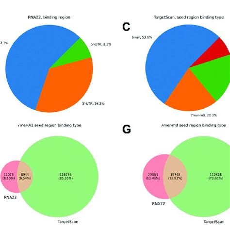 Comparison Of Rna22 And Targetscan Predicted Isomir Mrna Interactions