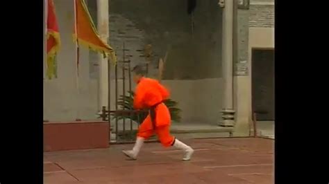 گوئن شو شائولین یین یانگ نماشا