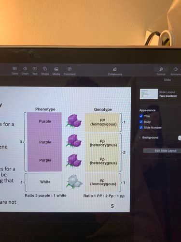 Lecture 13 Genetics Flashcards Quizlet