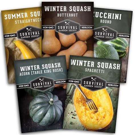 Best Companion Plants For Squash To Boost Your Gardens Yield Morgan Lawn And Landscape