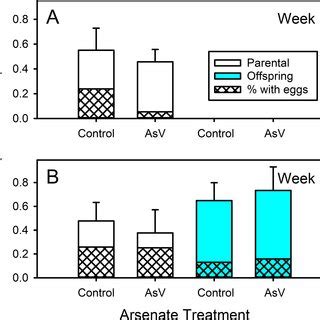 Parental And Offspring Sex Ratios And Gravid Females Of Control And Download Scientific