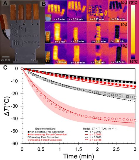 Autonomic Perspiration In 3d Printed Hydrogel Actuators Science Robotics