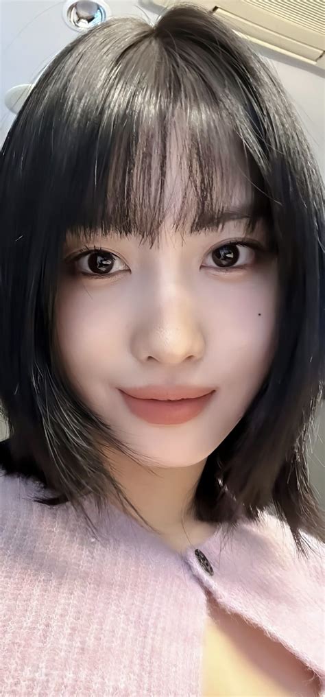 Momo Wallpaper