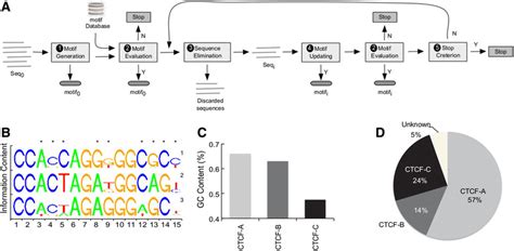 Motif Discovery Workflow And Three Detected Ctcf Sequence Variations A
