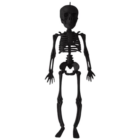 Casafun Posable Life Size Human Adult Skeletons Plastic Human Bones With Movable Joints For