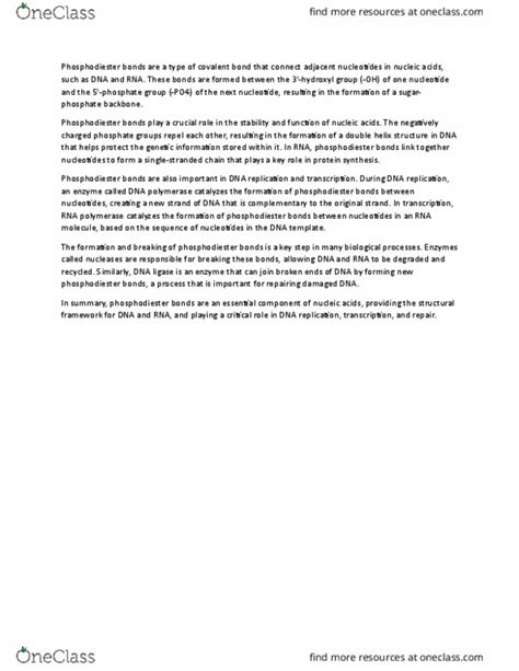 Lecture Bio Notes 247 Phosphodiester Bonds Oneclass