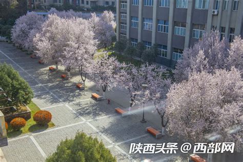 西安文理学院校园风光 西安文理学院校园 西安文理学院校园风光 第3页 大山谷图库