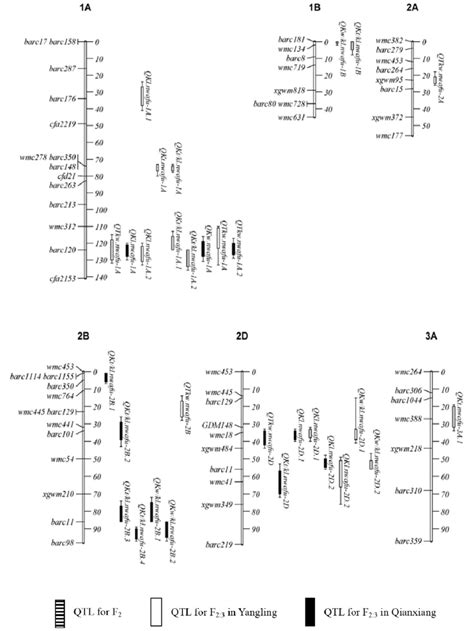 Locations Of Quantitative Trait Loci Qtl For Kernel Traits Of F 2 And