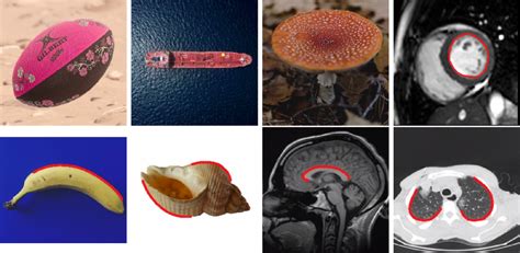 Figure 61 From Image Segmentation With Partial Convexity Prior Using Discrete Conformality