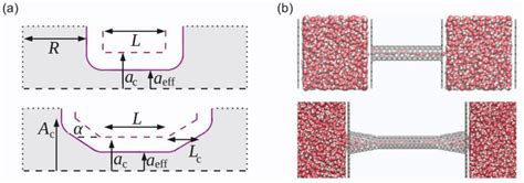 A Schematic Finite Elements Fe Cylindrical And Hourglass Geometries Download Scientific